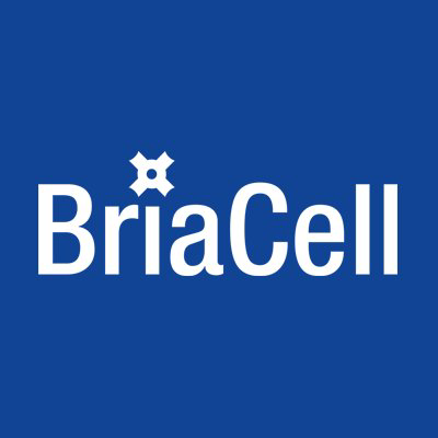 BriaCell Therapeutics Corp. (BCTX) · Company Summary · Roic AI